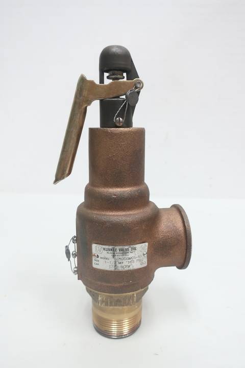 Surplus & Used Industrial Relief Valves for sale | NRI