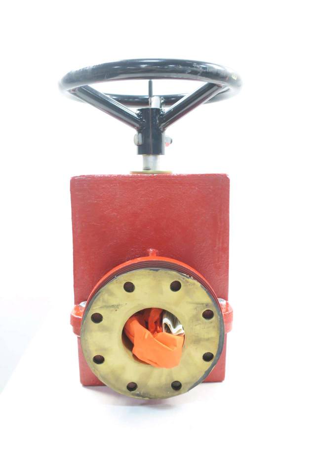 RED VALVE SERIES 75 IRON FLANGED PINCH VALVE 4 IN D560015