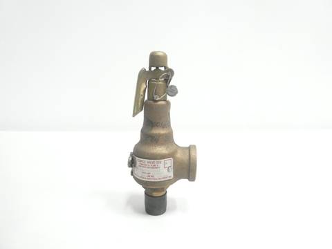 Surplus & Used Industrial Relief Valves for sale | NRI